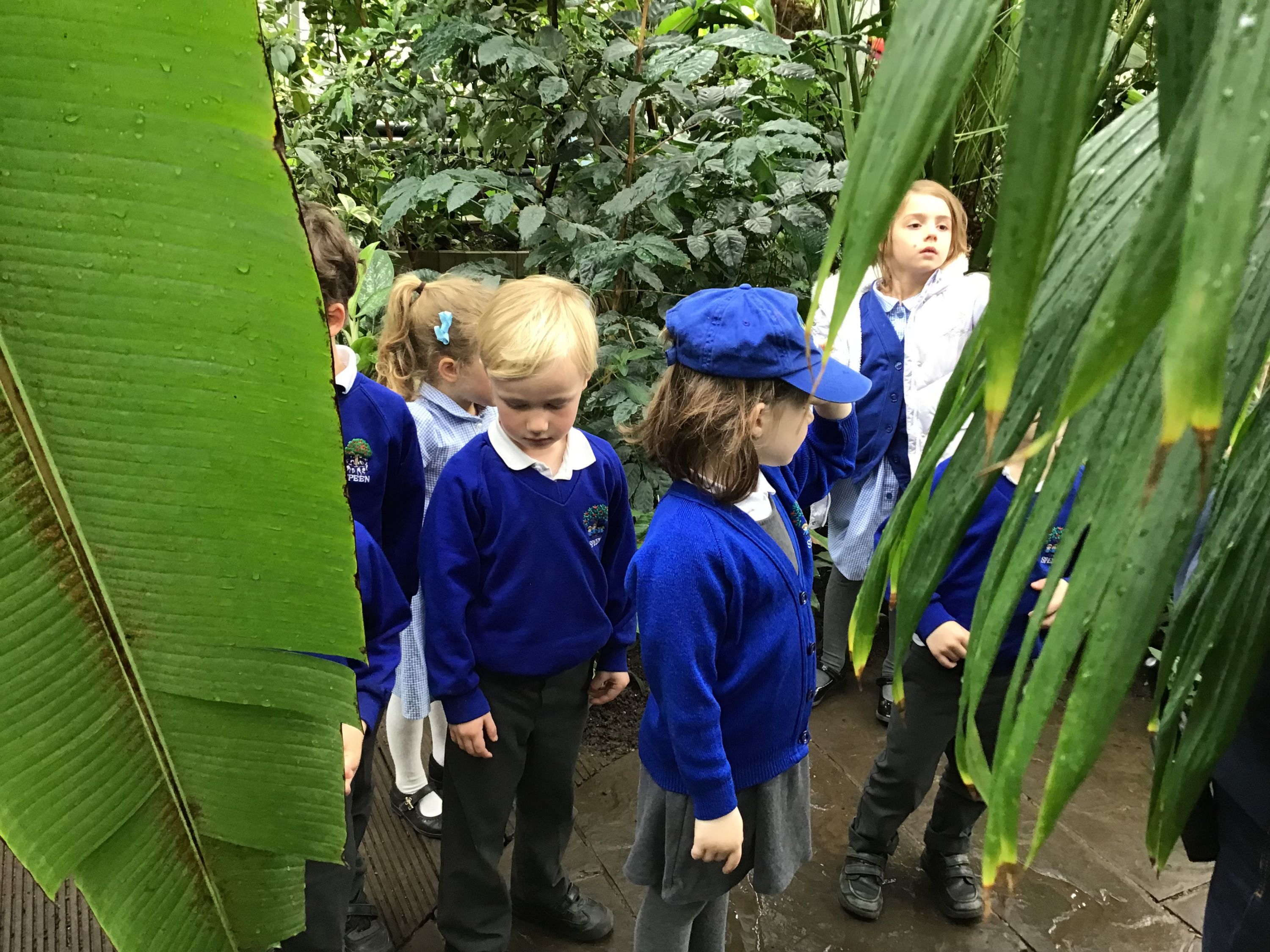 Speen Church of England School - Pippins Class