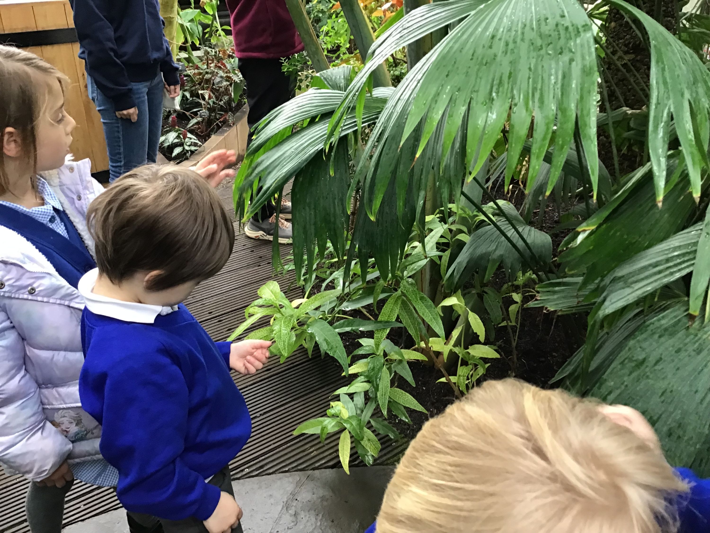 Speen Church of England School - Pippins Class