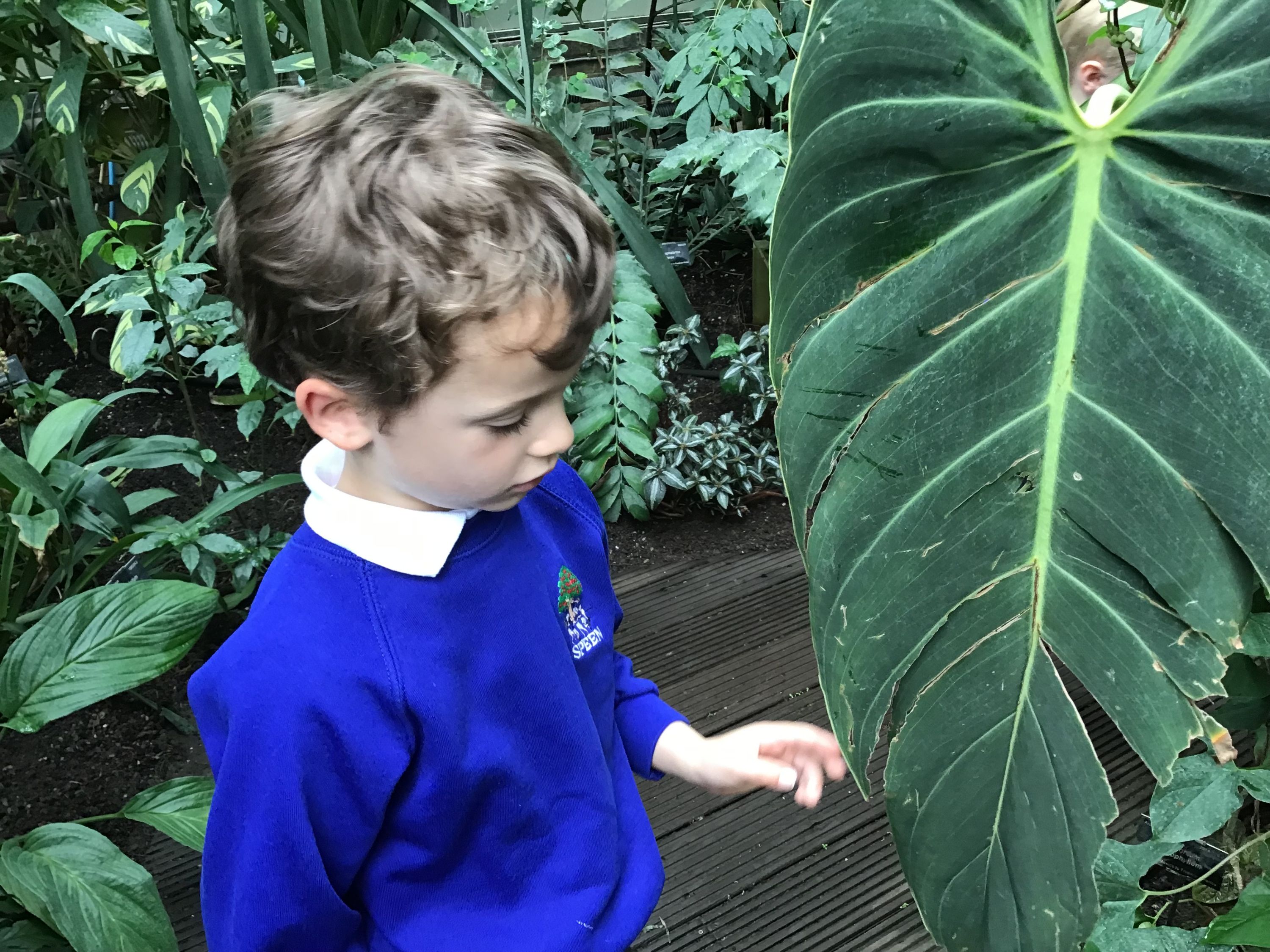 Speen Church of England School - Pippins Class