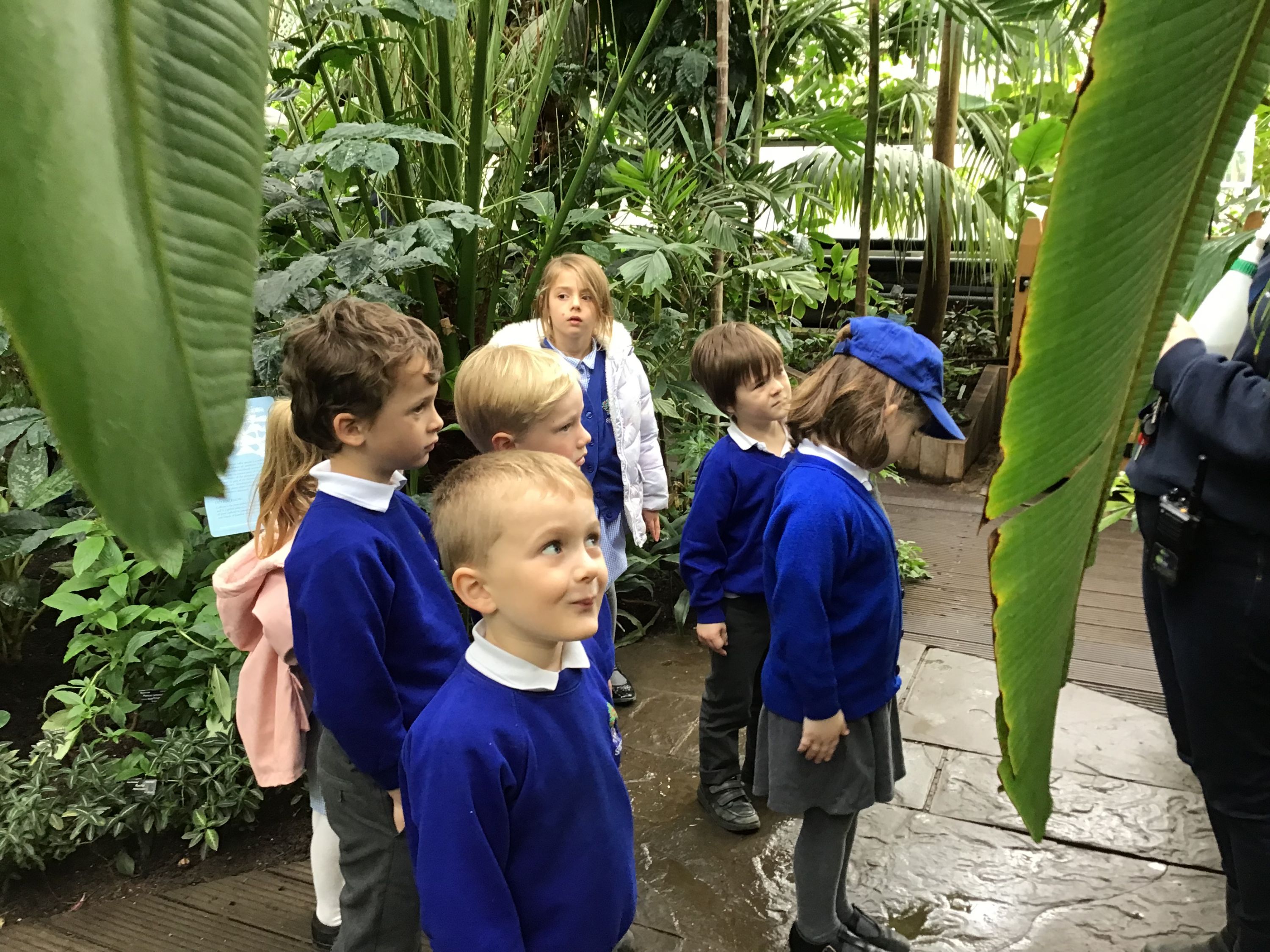 Speen Church of England School - Pippins Class