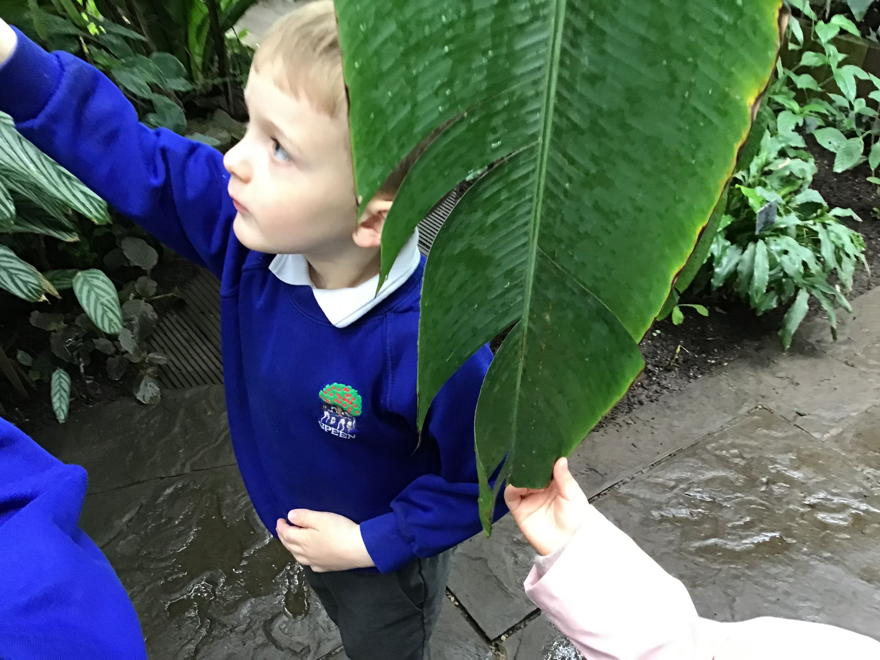 Speen Church of England School - Pippins Class