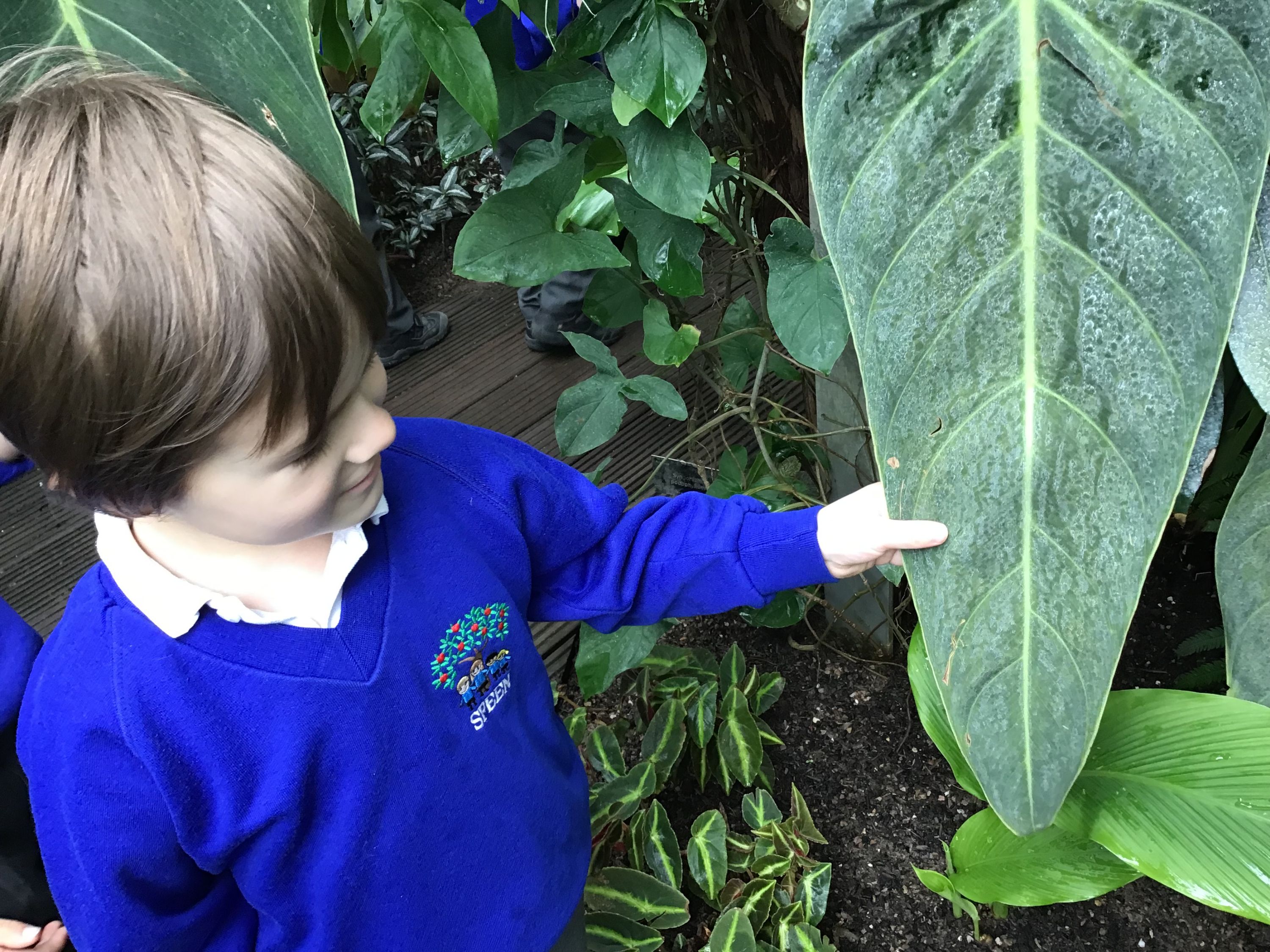 Speen Church of England School - Pippins Class